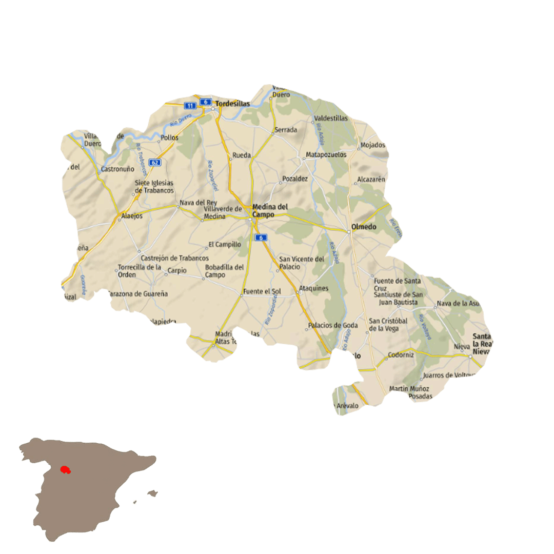 Region Rueda | Vintage Grapes GmbH