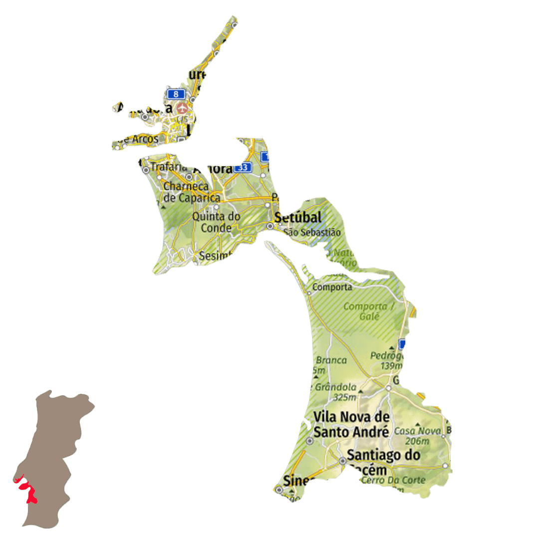 Region of Terras do Sado | Vintage Grapes GmbH