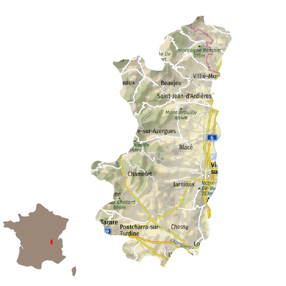 Region Beaujolais | Vintage Grapes GmbH