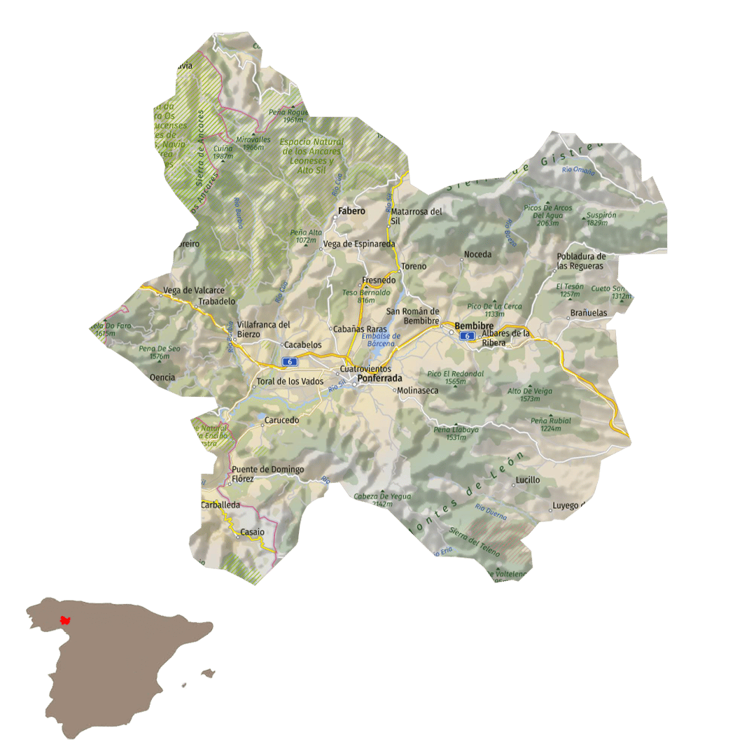 Bierzo region | Vintage Grapes GmbH