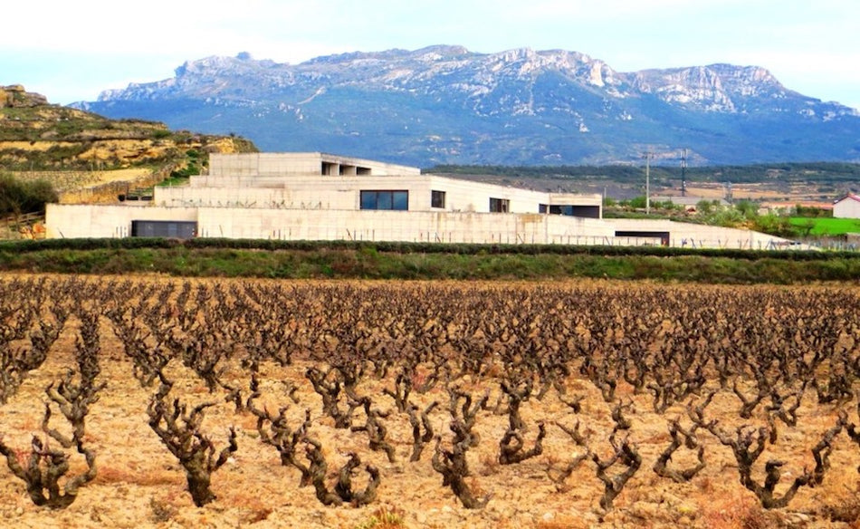 Bodega Contador | Vintage Grapes GmbH